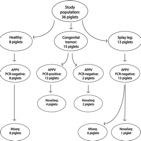 Flow Chart Showing The Number Of Sequenced Samples A Total Number Of Download Scientific