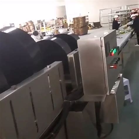 Automatic Tunnel Pickles Pasteurizing Machine Ketchup Paste Jam Soft Packaging Pasteurization