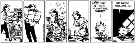 Best Calvin Hobbes Comic Strips For Parents