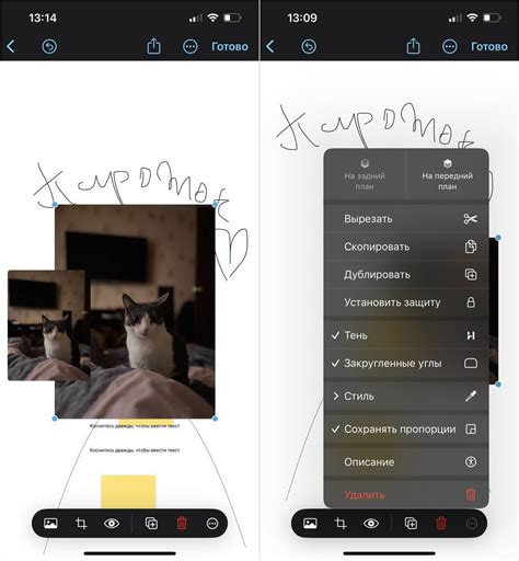 Что такое Freeform в Ios 16 2 и как им пользоваться