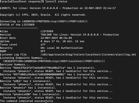 Oracle Database 19c 설치