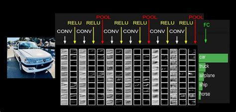 Activations In An Example Of The Distributed Convolutional Neural Network Download Scientific