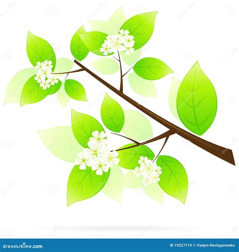 Git Branch Icon Line Isolated On White Background Black Flat Thin Icon