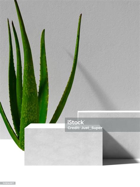 모형 프리젠 테이션 추상 적 큐브 배경에 대한 제품 연단 단계 화장품에 대한 스톡 사진 및 기타 이미지 화장품 강단 0명 Istock