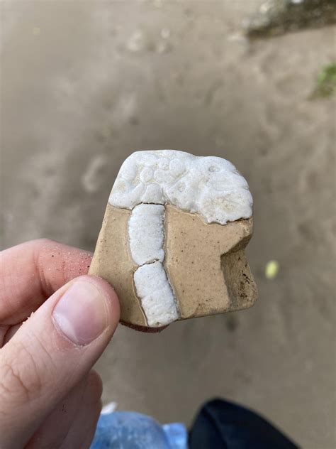 Is This A Crinoid Fossil R Fossilid