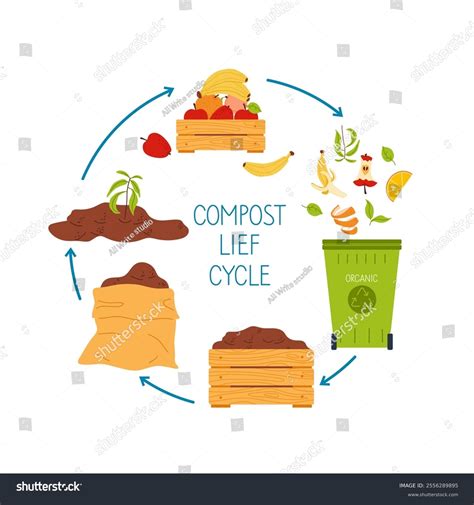 Understanding Compost Life Cycle Through Visual Stock Vector Royalty Free 2556289895