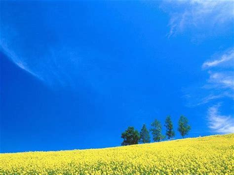 [심리] 색깔 의미 색채심리 빨주노초파남보 상징 컬러 판단 네이버 블로그