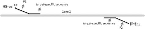 preparation method of nucleic acid target sequence capture sequencing