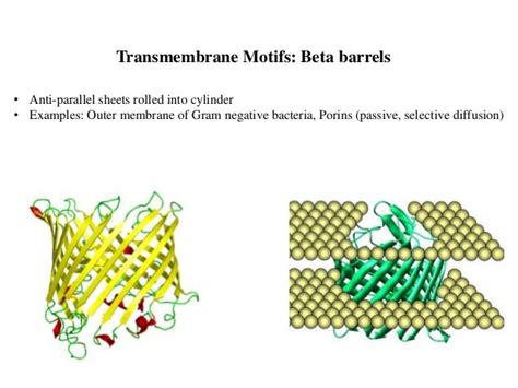 bt631 6 structural motifs