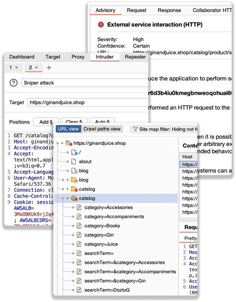 burp suite professional portswigger
