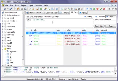 Using Heidisql In Testing