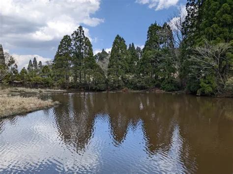 2023 Best 10 River Trails In Otsu Alltrails