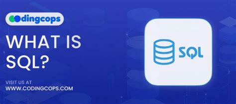 SQL Vs T SQL A Comparison And How To Choose CodingCops