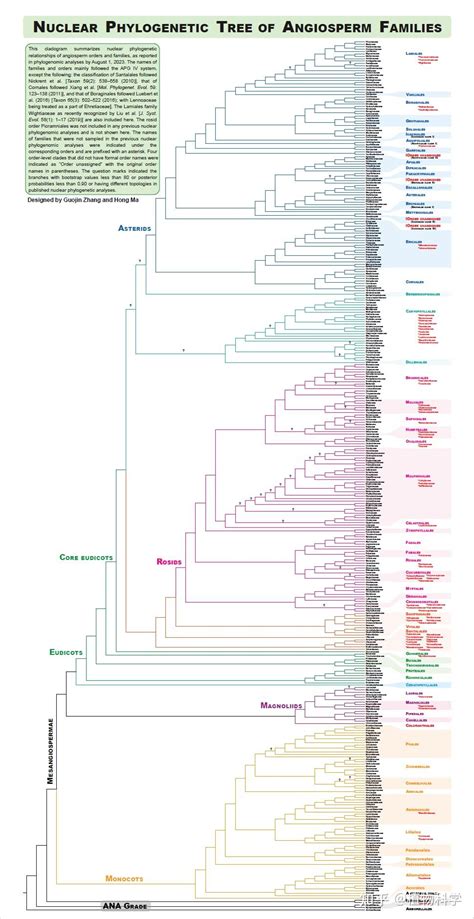宾夕法尼亚州立大学马红教授团队发表被子植物核基因系统发育组学及其进化生物学意义的特邀综述 知乎
