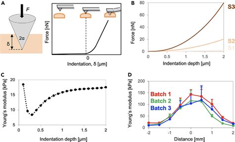 Evaluation Of Youngs Modulus Of Paam Gel Using Afm Day 2 A Download Scientific Diagram