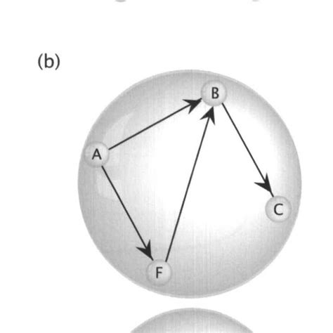 Single Linkage Clustering Slc Algorithm The Algorithm Combines