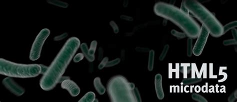 Html5 Microdata What Is It And Why Should You Care