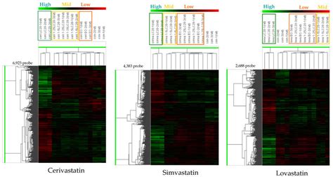Hierarchical Clustering Analysis Of Differentially Expression Gene