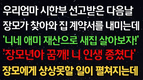 실화사연 우리엄마 시한부 선고받은 다음날 장모가 찾아와 집 계약서를 내미는데 니네 엄마 재산으로 새집 살아보자 ”장모야 꿈깨 니 인생 종쳤다 장모에게 상상못할 일이