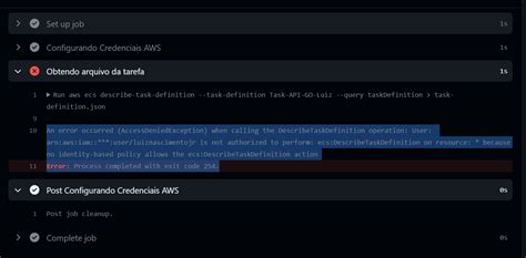is not authorized to perform ecs describetaskdefinition on resource