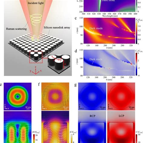Principle Of Chiral Field Enhanced Roa Using The Silicon Nanodisk Download Scientific Diagram