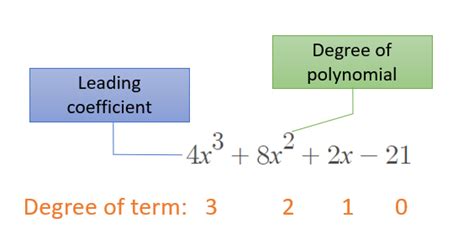 Polynomial Definition Types Degree Operations Examples 51 Off