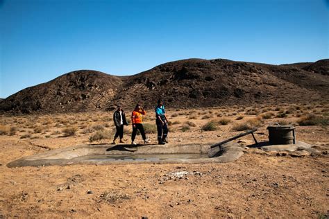 Мазаалай болон хээрийн зэрлэг ан амьтдад зориулан ламын тооройн худагт хөв байгуулав