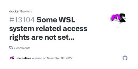 Some Wsl System Related Access Rights Are Not Set Correctly · Issue