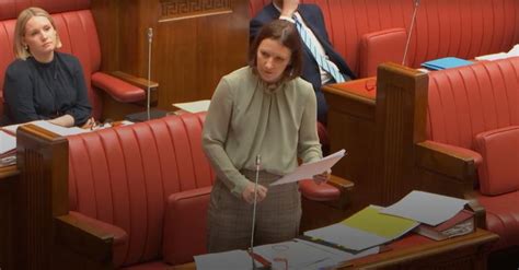 South Australian Mp Introduces Bill To Help Vulnerable Women Exit The
