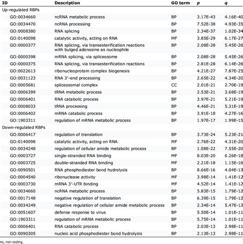Go Functional Enrichment Analyses Download Scientific Diagram