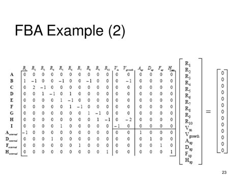PPT Constraint Based Modeling Of Metabolic Networks PowerPoint Presentation ID