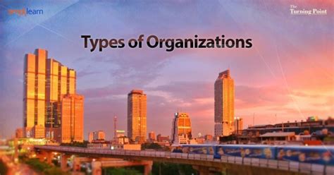 Types Of Organizations Th Th Grade Quiz Quizizz