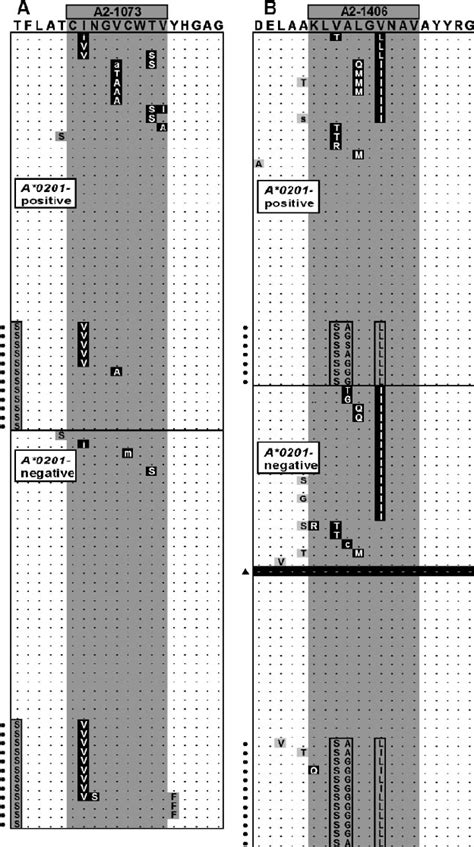 Lack Of Significant Hla Associations Within Known Immunodominant Hla A2
