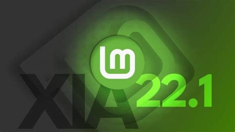 How To Install Vs Code On Linux Mint In 5 Easy Steps