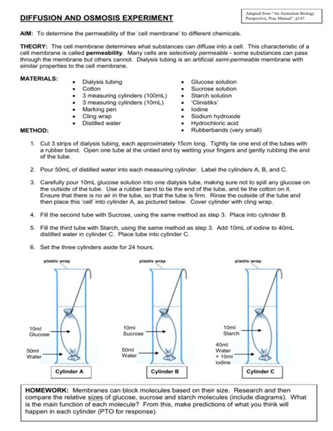 Diffusion Osmosis Lab Cell Membrane Permeability Experiment