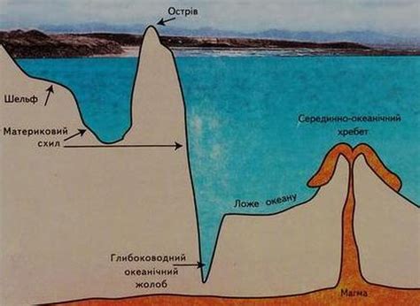 Як виглядає дно океану детальний огляд рельєфу та підводного світу
