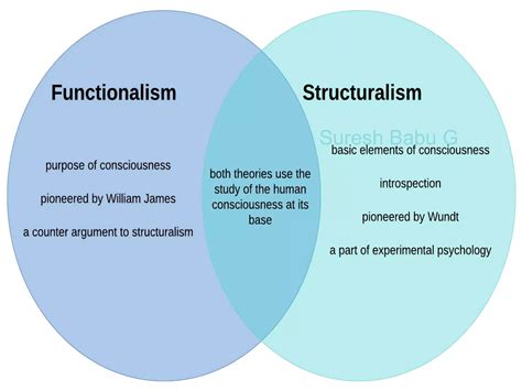 Schools Of Psychology Brief Description Of Behaviorism Structuralism Functionalism Psycho