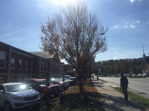 Assignment 4 Part 3 Camerons Media Website