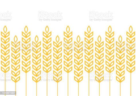 밀 패턴 벽지 귀리 기호 텍스트를위한 여유 공간 쌀 패턴 벽지 0명에 대한 스톡 벡터 아트 및 기타 이미지 0명 곡초류 귀리 Istock