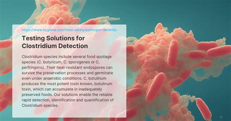 Testing Solutions For Clostridium Detection Hygiena