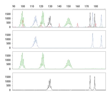 Microsatellite Instability Analysis Msi