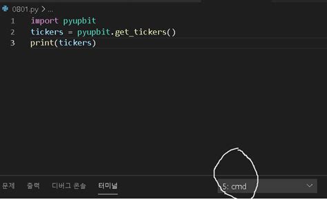 오류 conda conda 용어가 cmdlet 함수 스크립트 파일 또는 실행할 수 있는 프로그램 이름으로 인식되지 않습니다