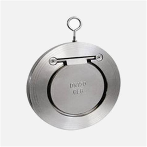 Wafer Swing Check Valve Dwell Energy Service