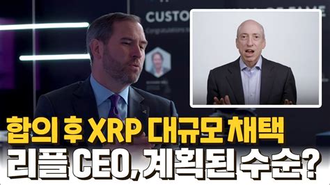 리플 비트코인 이더리움 리플 합의 후 대규모 채택 Ceo 알고 있었다” Youtube