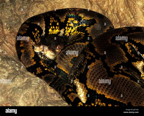 danger, big, large, enormous, extreme, powerful, imposing, immense ...