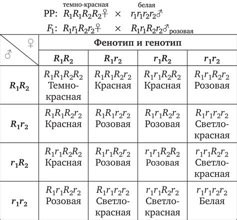 Полимерия Генетика