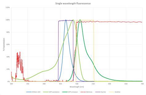 The Benefits Of Optimal Led Filtering For Fluorescence Microscopy