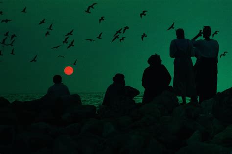 Silhouettes Au Coucher Du Soleil Et Oiseaux Marins Au Bord De La Côte · Photo Gratuite