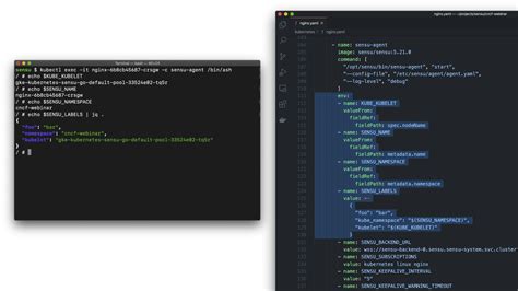 Sensu Whitepaper The Top 7 Kubernetes Apis For Cloud Native Observability