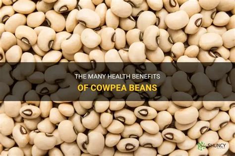 The Many Health Benefits Of Cowpea Beans Shuncy